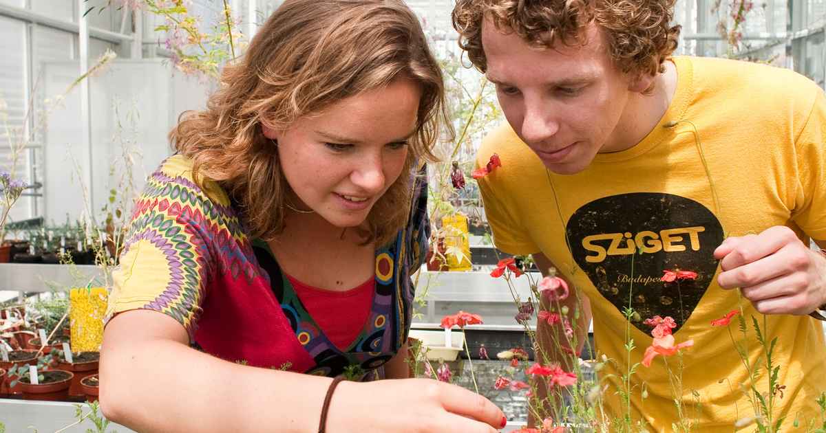 Student projects - Plant Hormone Biology - SILS - University of Amsterdam