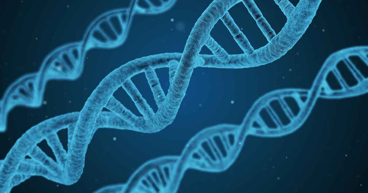 Research of SILS - SILS - University of Amsterdam
