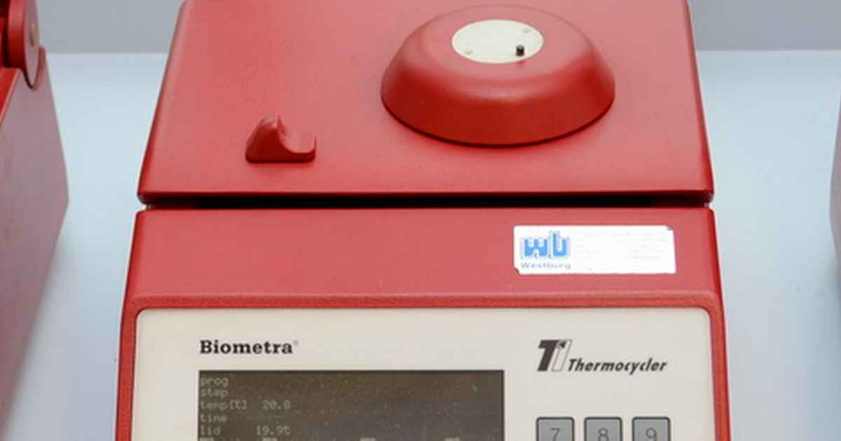 RNA Biology & Applied Bioinformatics - SILS - University of Amsterdam