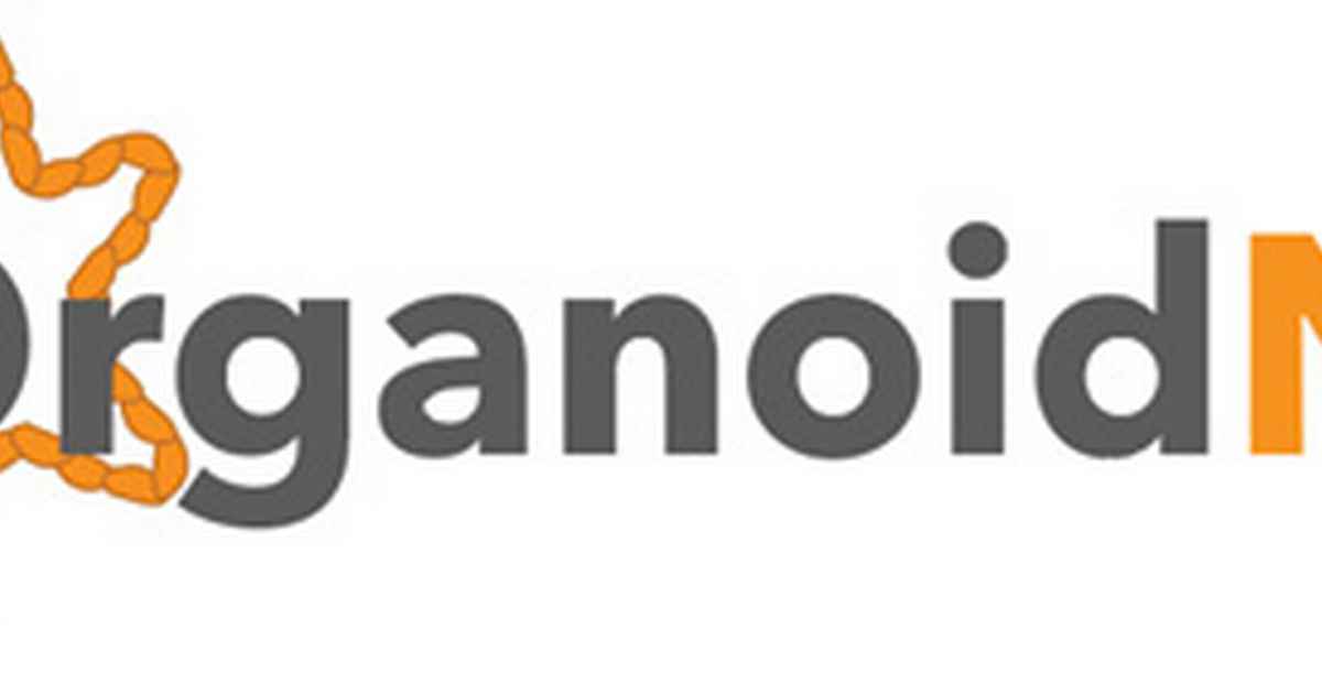 OrganoidNL 2023 - SILS - University of Amsterdam